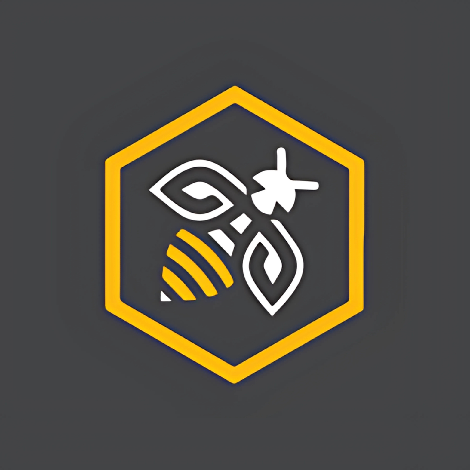 All Products – Asal Bee